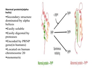 Prion disease | PPTX