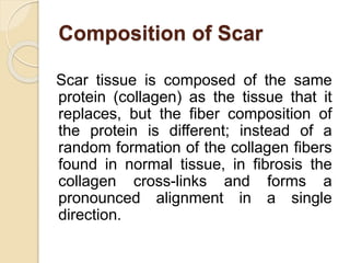 Scarring of wounds | PPT
