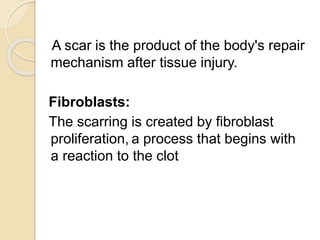 Scarring of wounds | PPT
