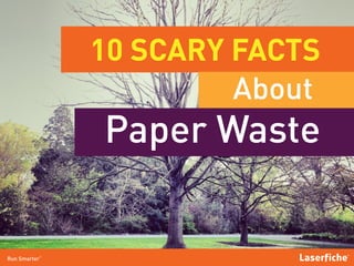 10 Scary Facts About Paper Waste | PDF