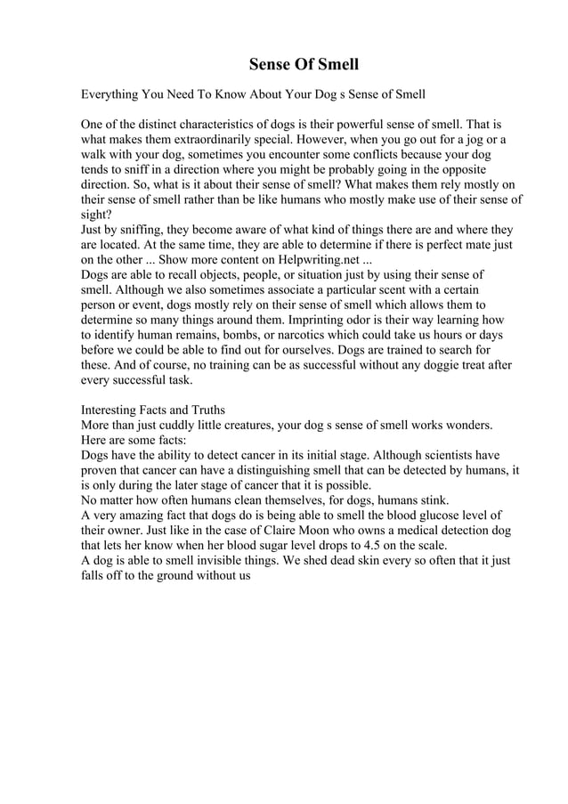 Scary Narrative Essay | PDF