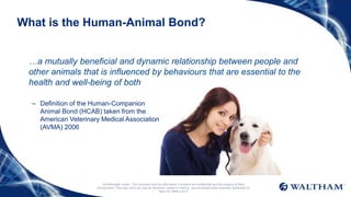 The health and social benefits of the human-animal bond | PPTX
