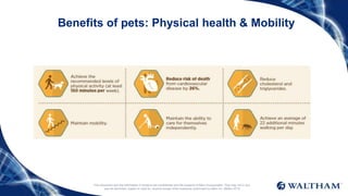 The health and social benefits of the human-animal bond | PPTX
