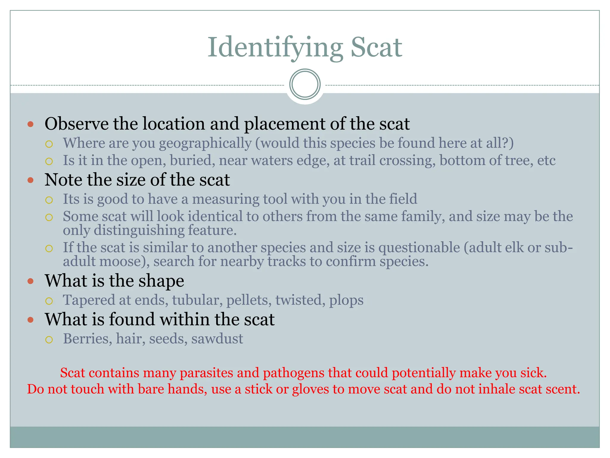 Scat-Identification.pdf