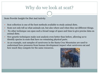 Scat-Identification.pdf