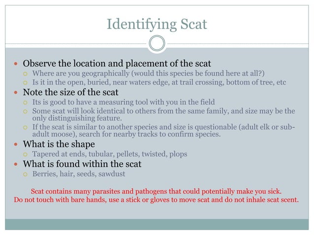 Scat-Identification.pdf