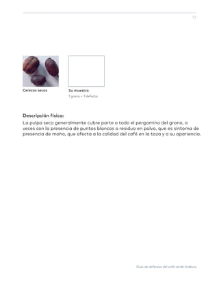 SCA_The+Arabica+Green+Coffee+Defect+Guide_Spanish_updated.pdf