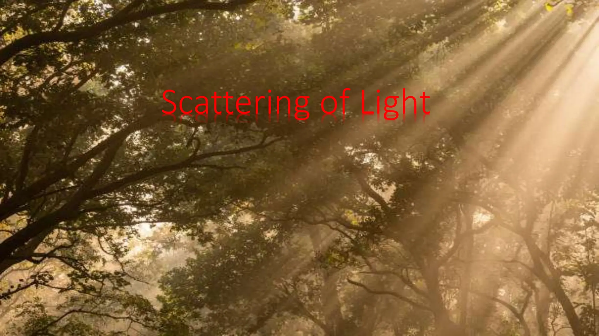 Scattering of Light Class 10 PPT for Students.pptx