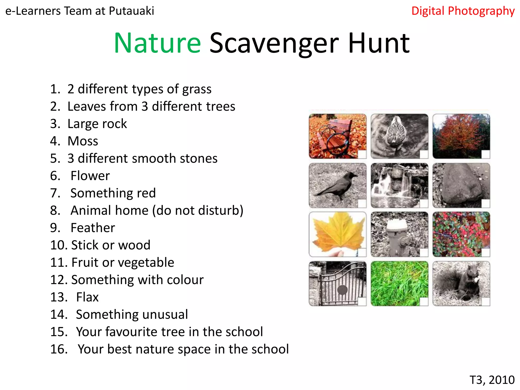Scavenger Hunt Collage | PDF