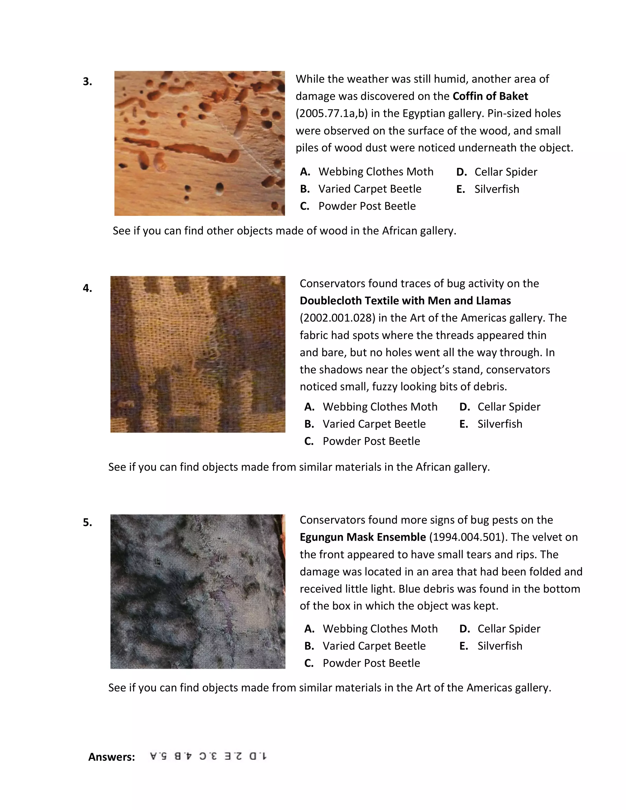 Scavenger hunt worksheet | PDF