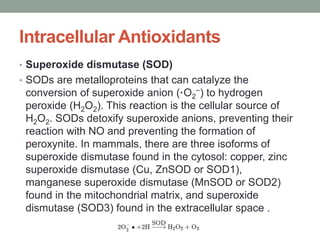 Scavengers, Protective mechanisms and Reduction of free radical ...