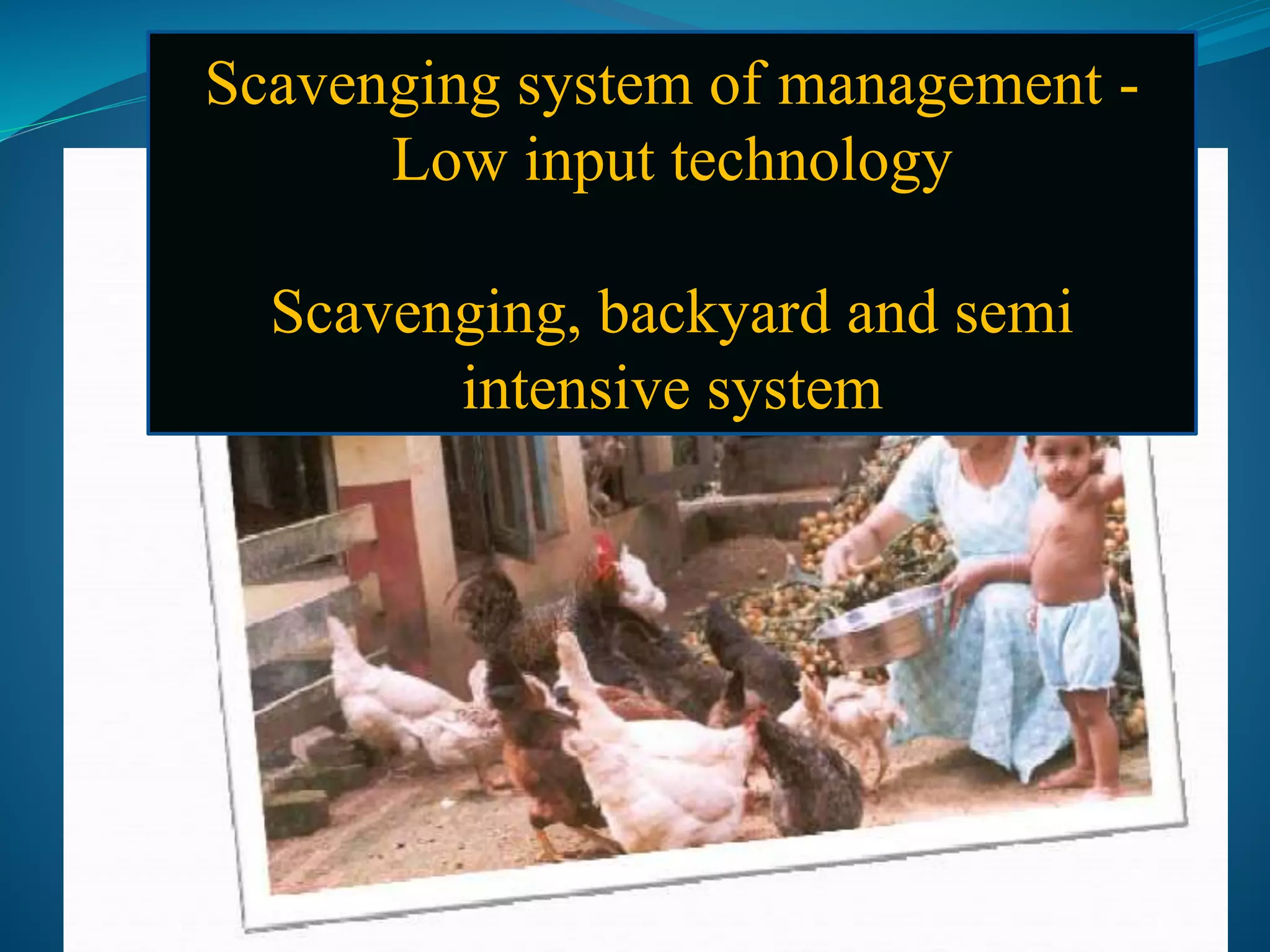Scavenging system of management | PPTX