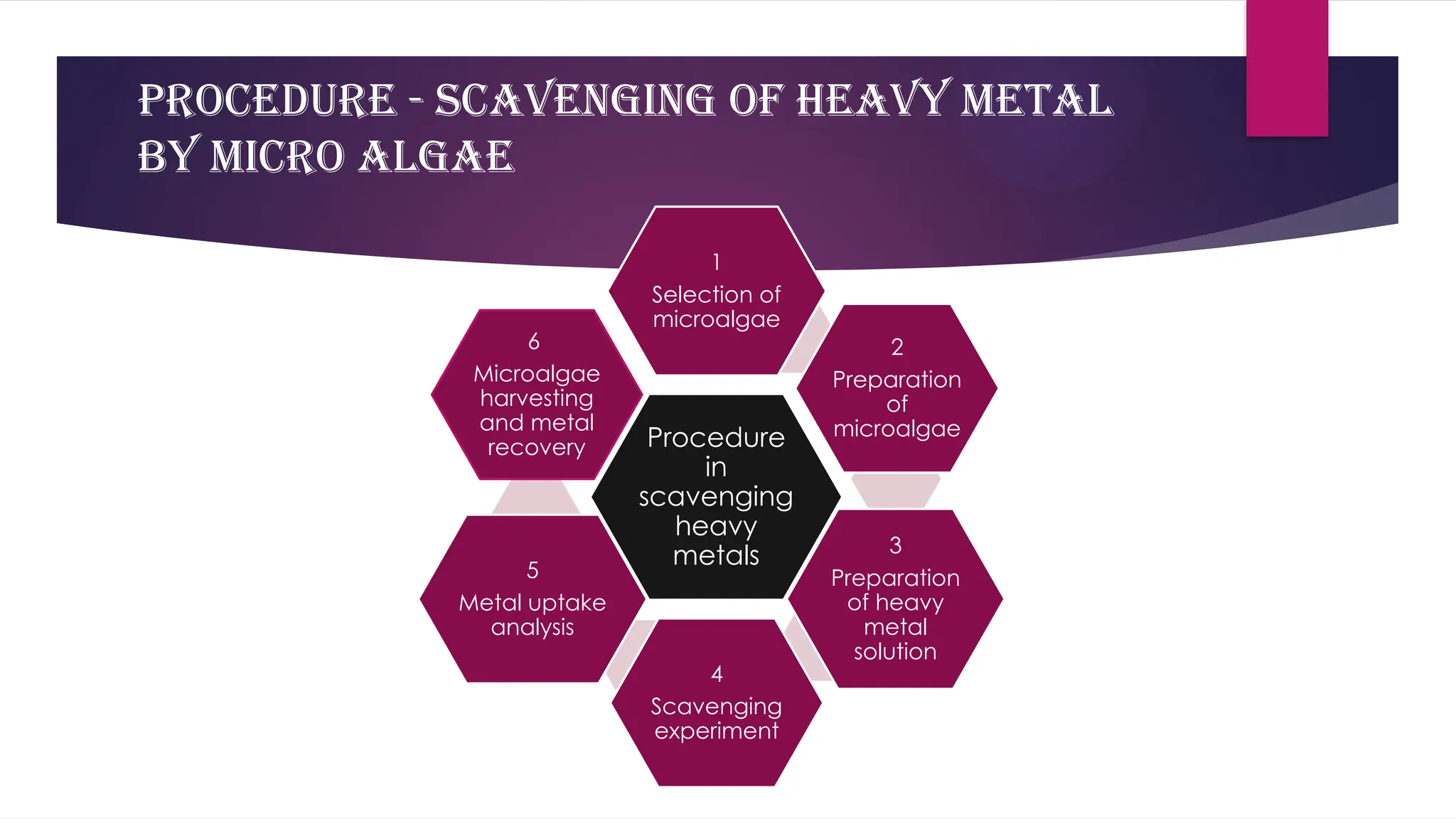 Scavenging of heavy metal by microalgae.pptx