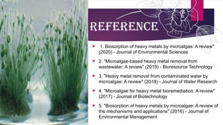 Scavenging of heavy metal by microalgae.pptx