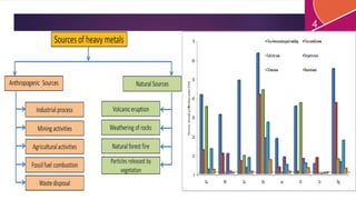 Scavenging of heavy metal by microalgae.pptx