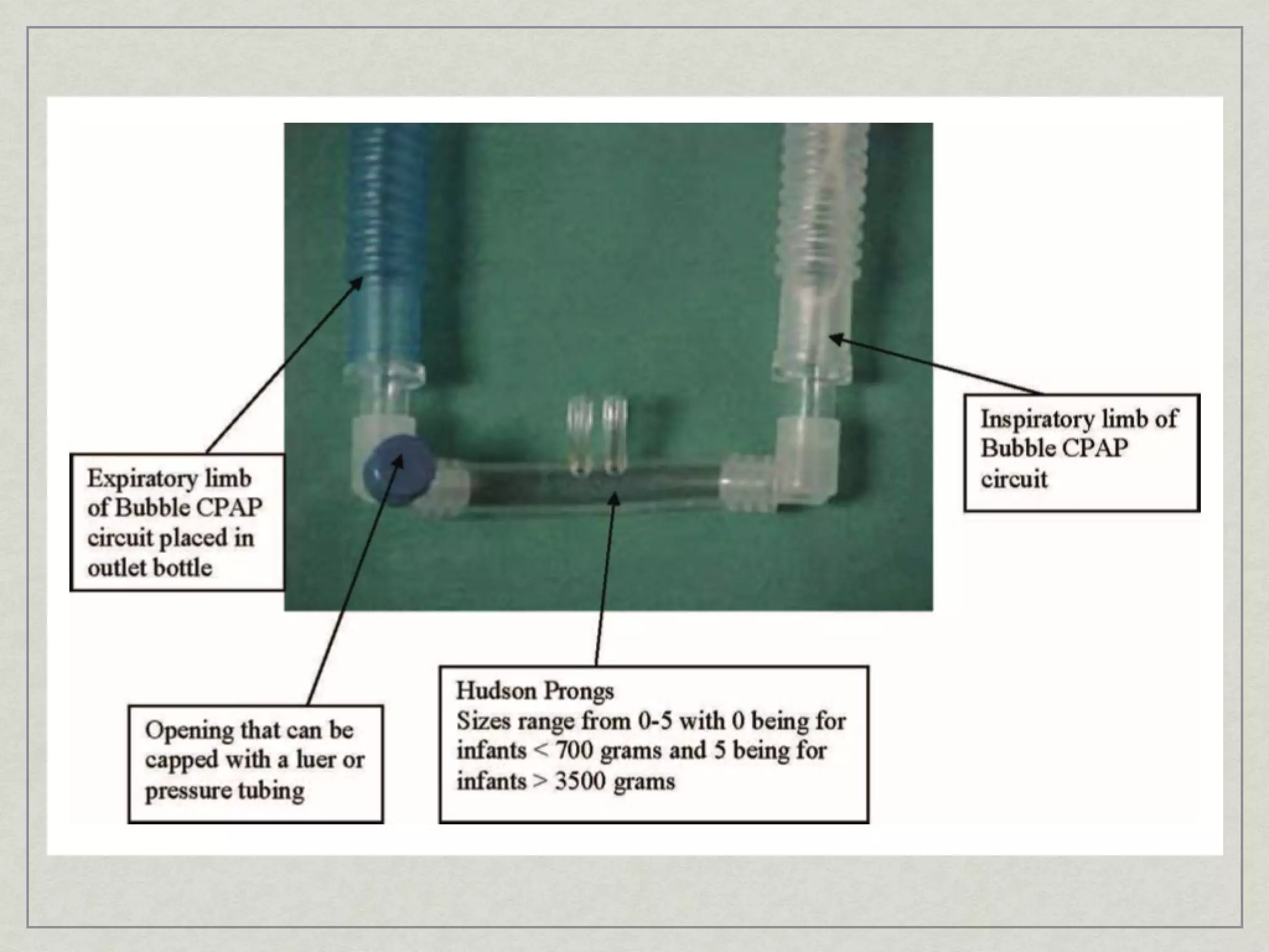 SCBU CPAP DR STEVE WONG | PPT