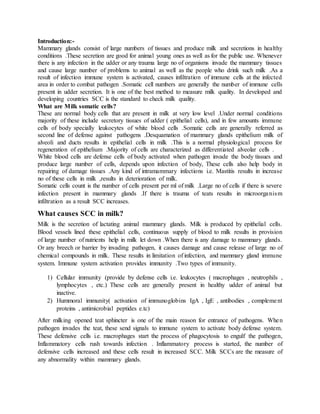 Somatic cell association with milk quality | DOCX