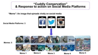Social Media: a portal linking science and conservation with the ...