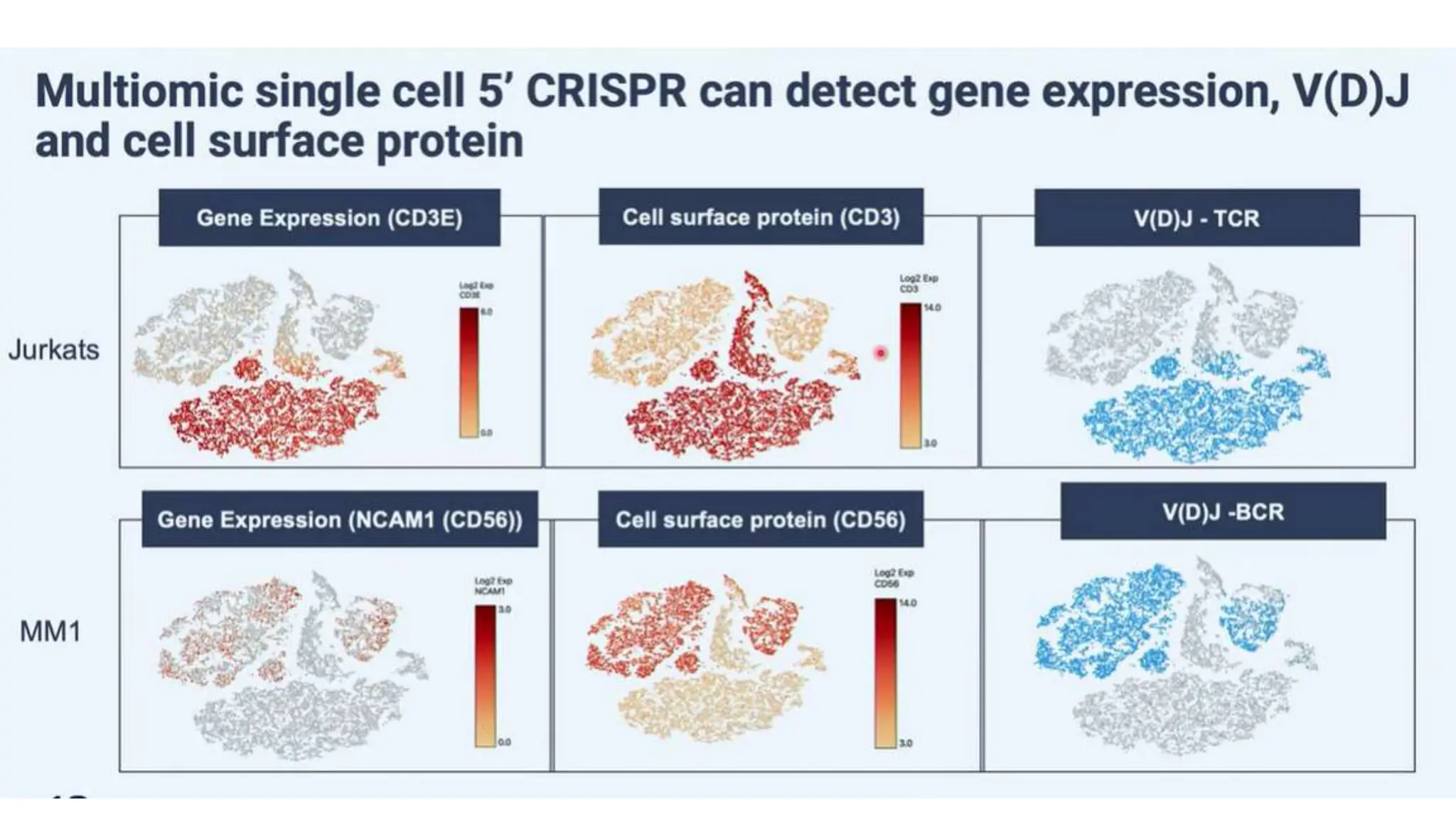 Revealing drug targets: Single-cell CRISPR screening in cancer research ...