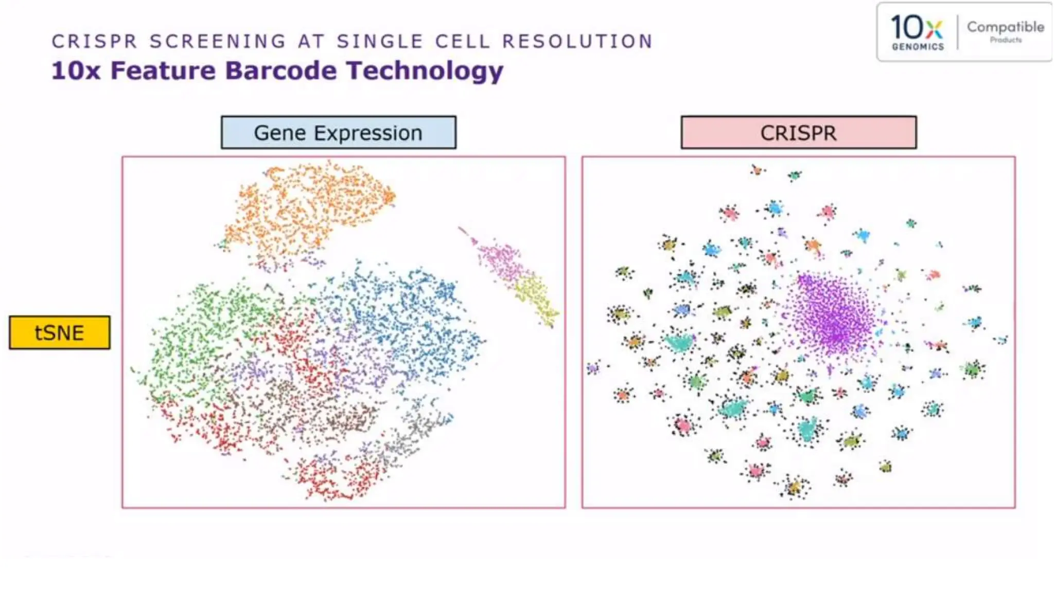 Revealing drug targets: Single-cell CRISPR screening in cancer research ...