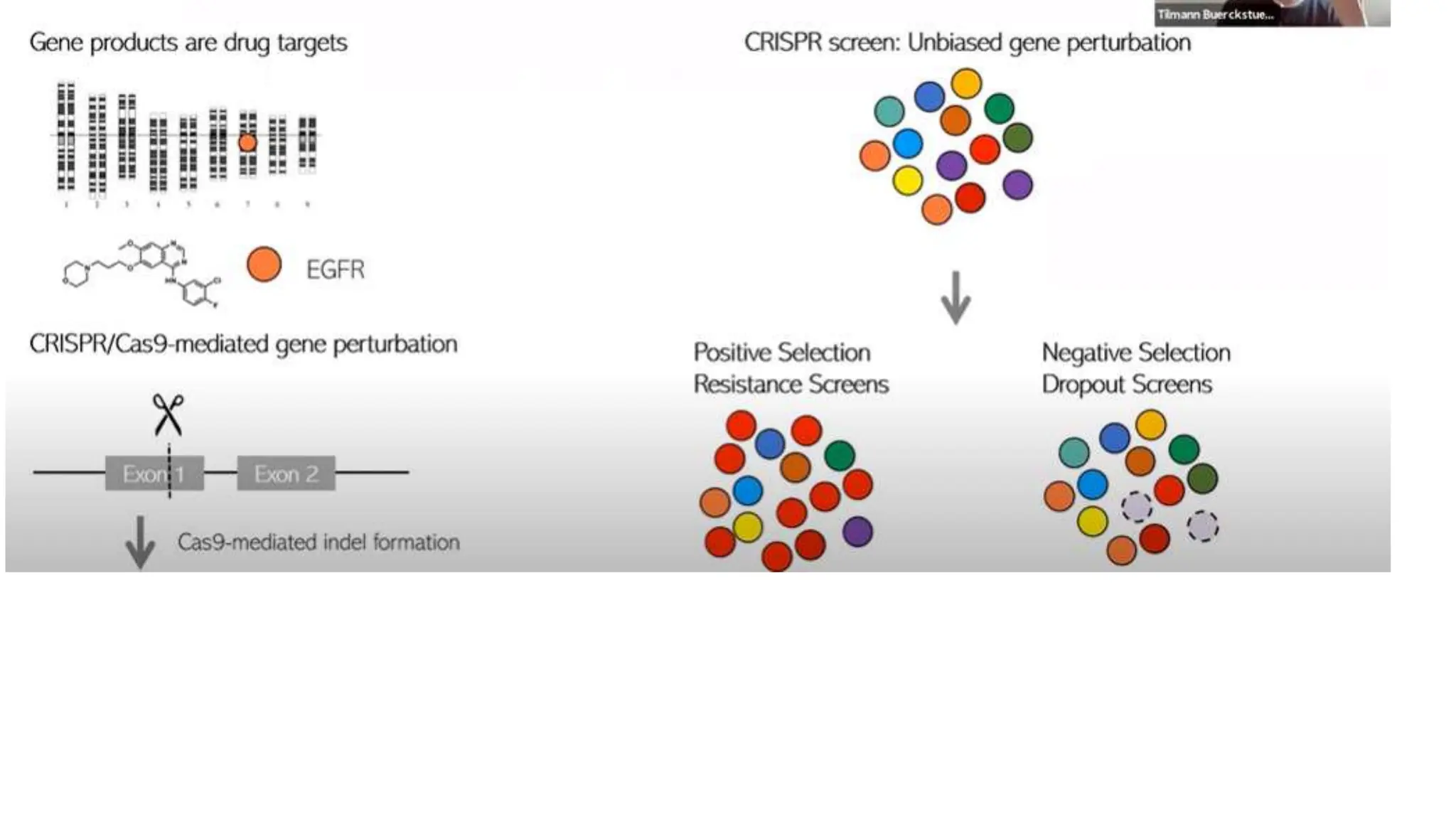 Revealing drug targets: Single-cell CRISPR screening in cancer research | PPTX