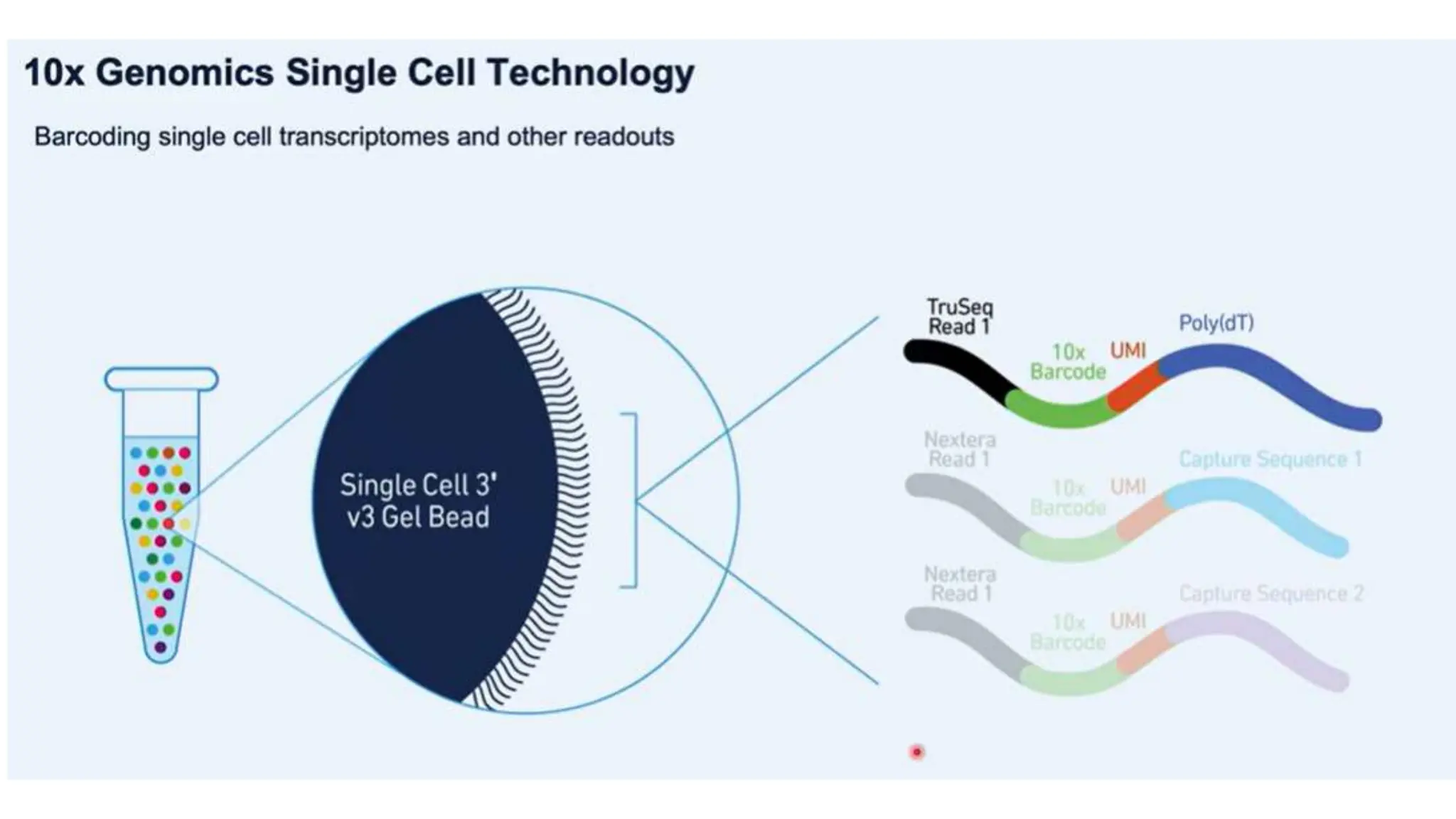Revealing drug targets: Single-cell CRISPR screening in cancer research | PPTX
