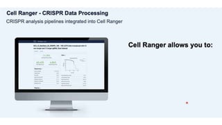 Revealing drug targets: Single-cell CRISPR screening in cancer research ...
