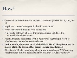 S CdiferenciacióNpormatriz | PPT | Genetics | Science