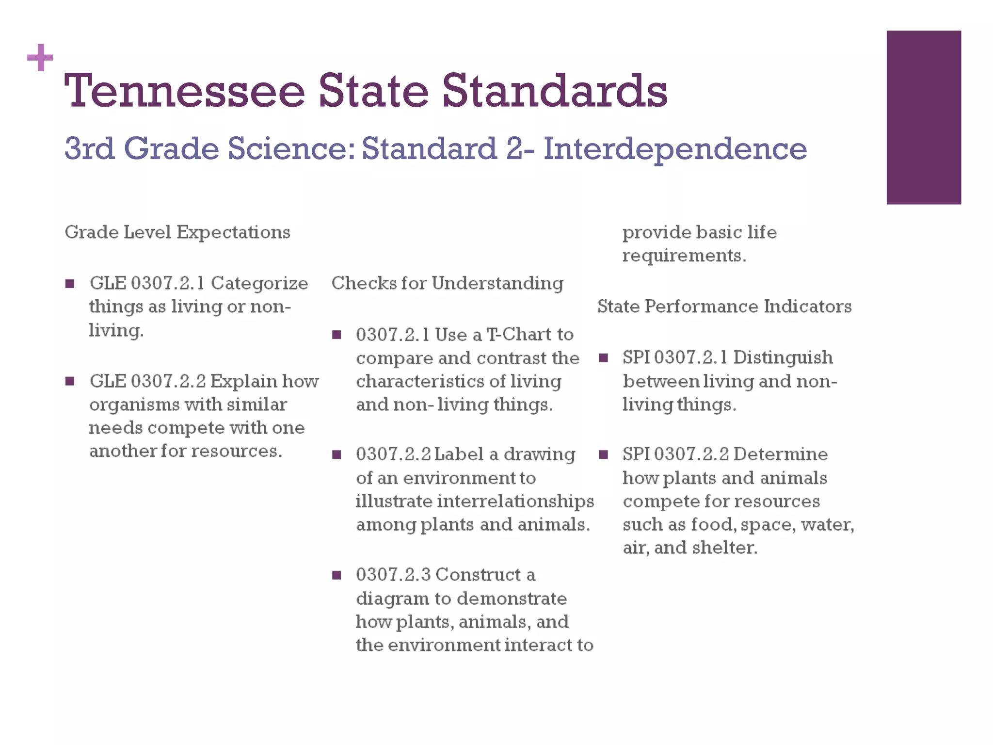 3rd Grade Animal Lesson Plan | PPT