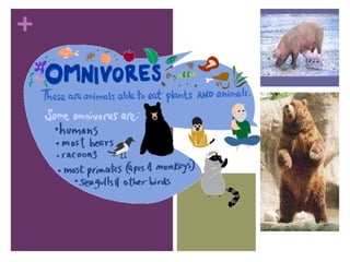 3rd Grade Animal Lesson Plan | PPT