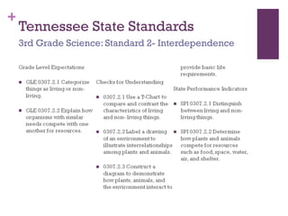 3rd Grade Animal Lesson Plan | PPT