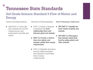 3rd Grade Animal Lesson Plan | PPT