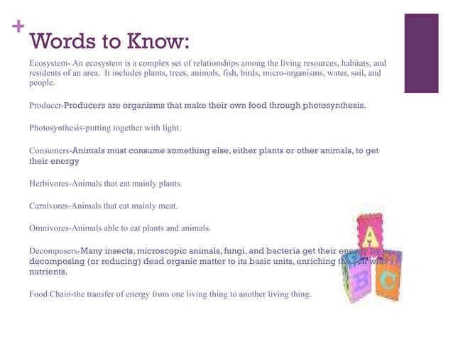 3rd Grade Animal Lesson Plan | PPT | Food & Drink