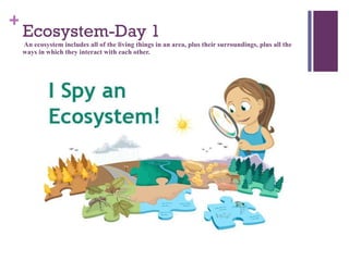 3rd Grade Animal Lesson Plan | PPT