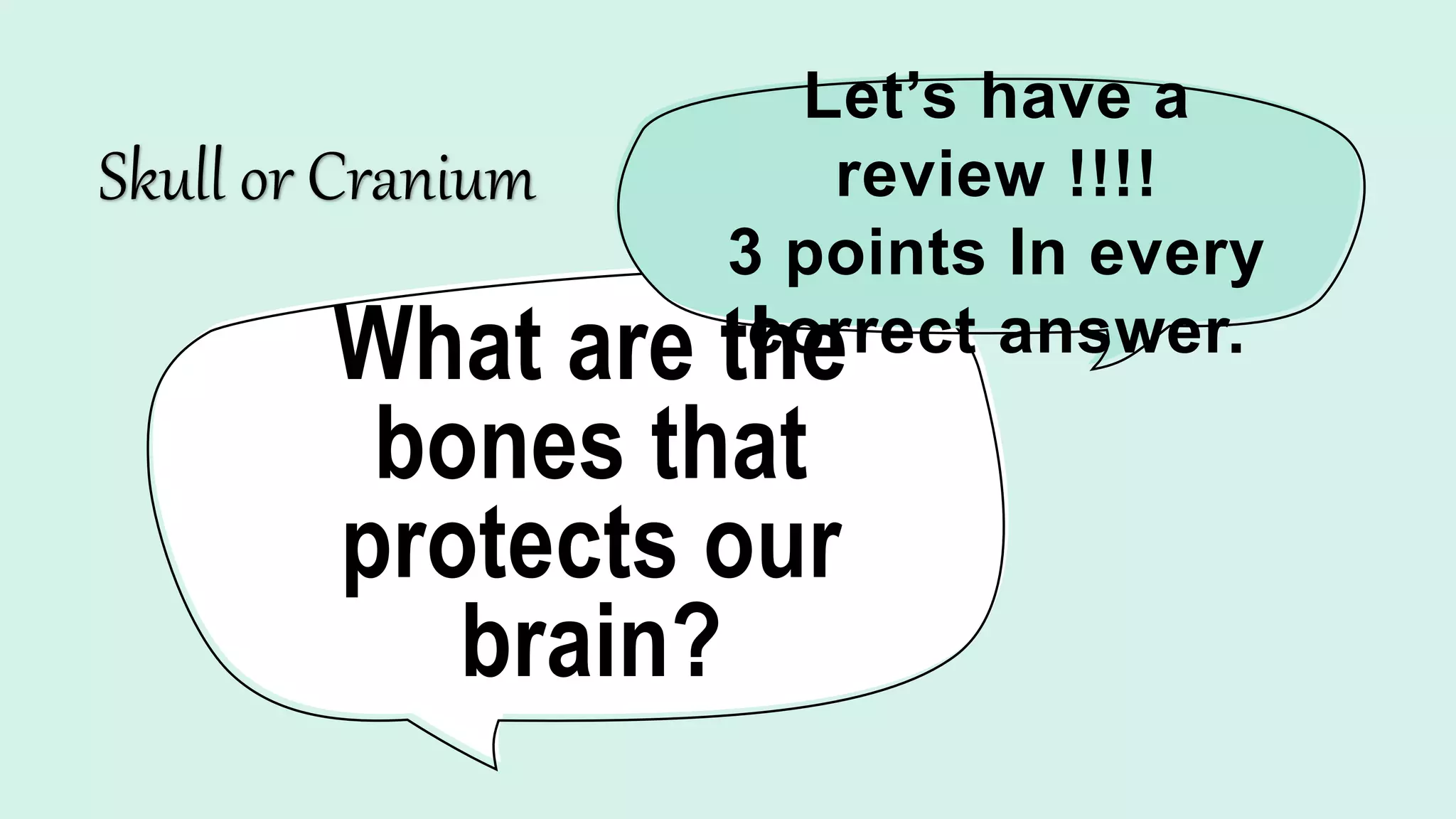 SCIENCE 4.BONES AND MUSCLES.pptx