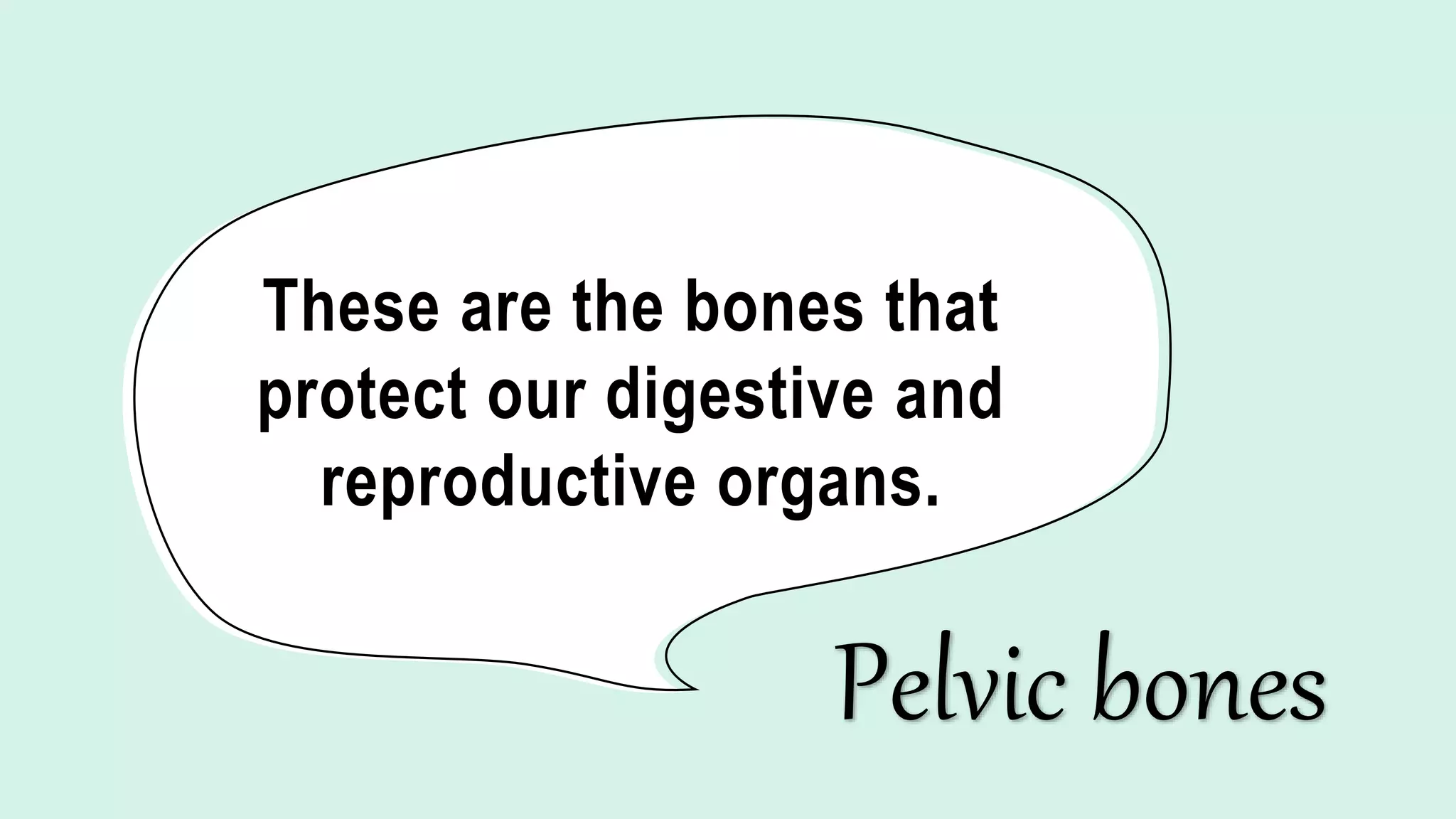 SCIENCE 4.BONES AND MUSCLES.pptx