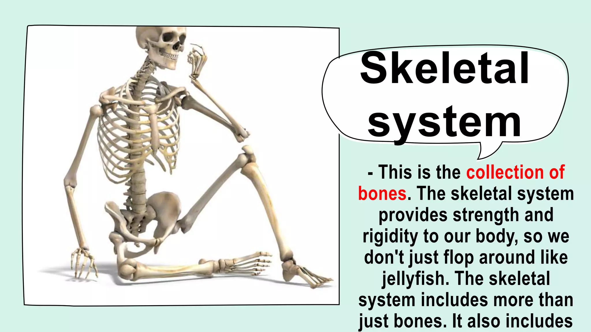 SCIENCE 4.BONES AND MUSCLES.pptx