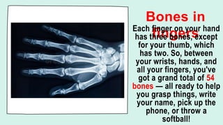 SCIENCE 4.BONES AND MUSCLES.pptx