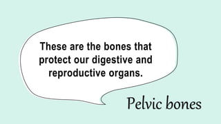 SCIENCE 4.BONES AND MUSCLES.pptx