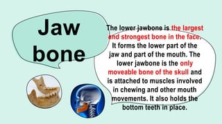 SCIENCE 4.BONES AND MUSCLES.pptx