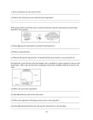 Sceince year-4 | PDF