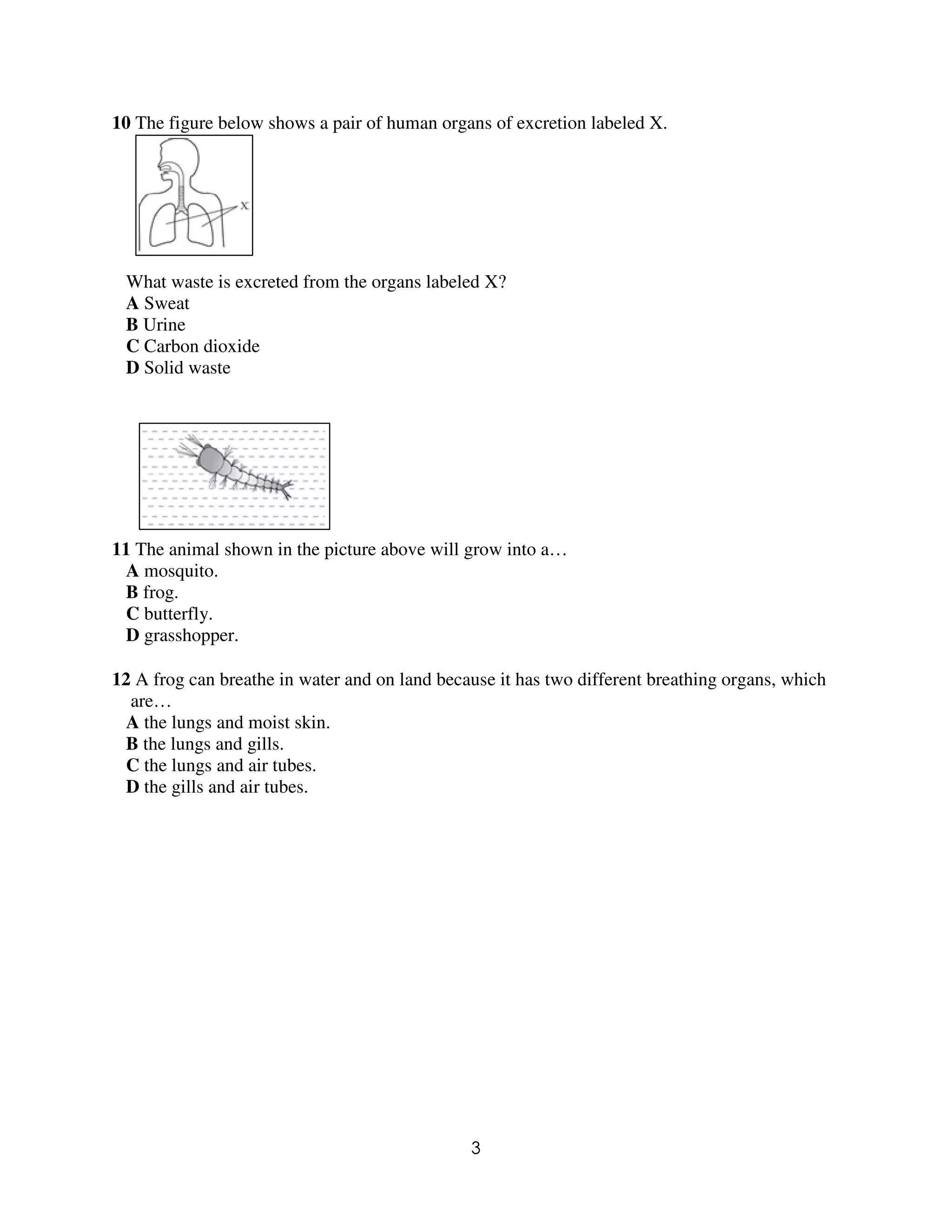 Sceince year-4-mid-term-exam | PDF