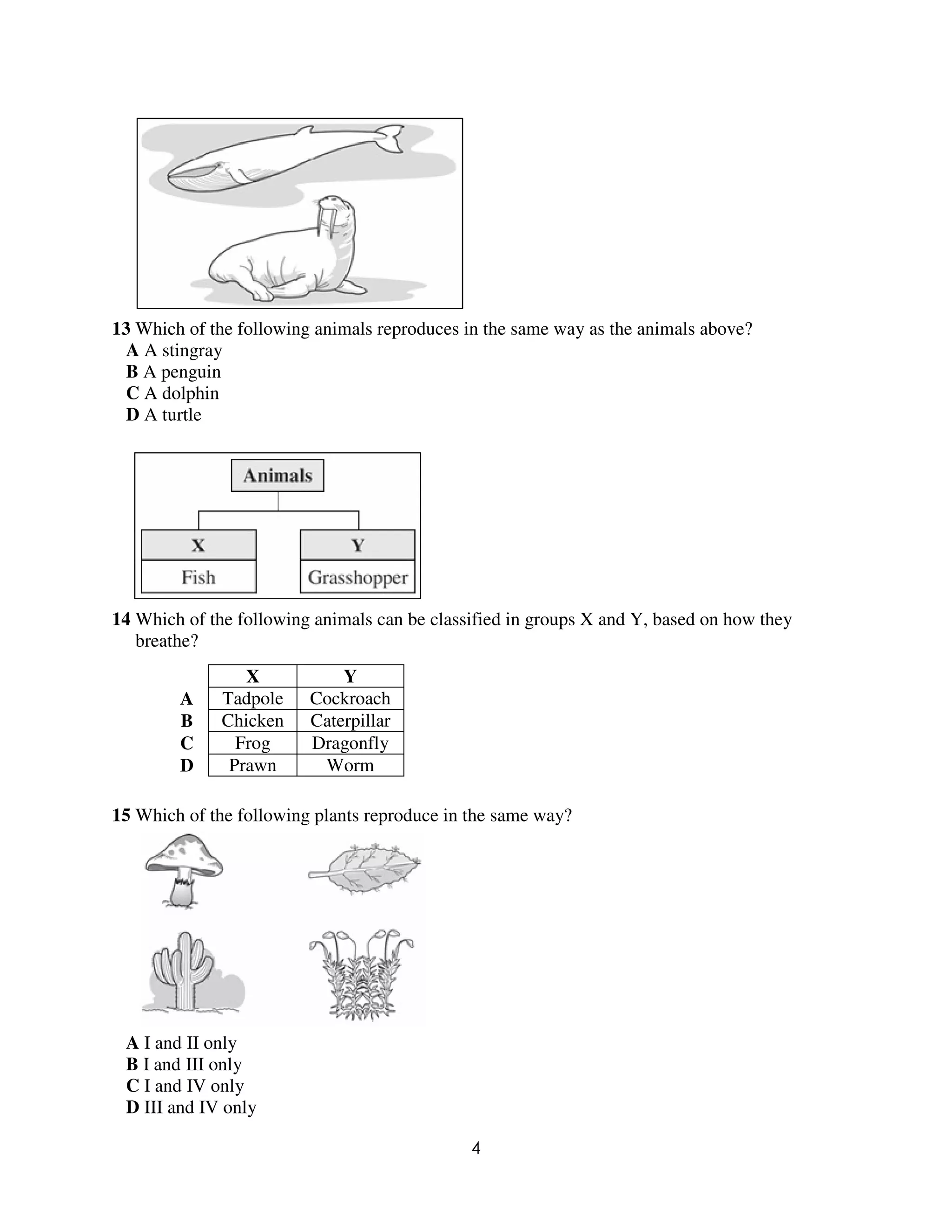 Sceince year-4-mid-term-exam | PDF