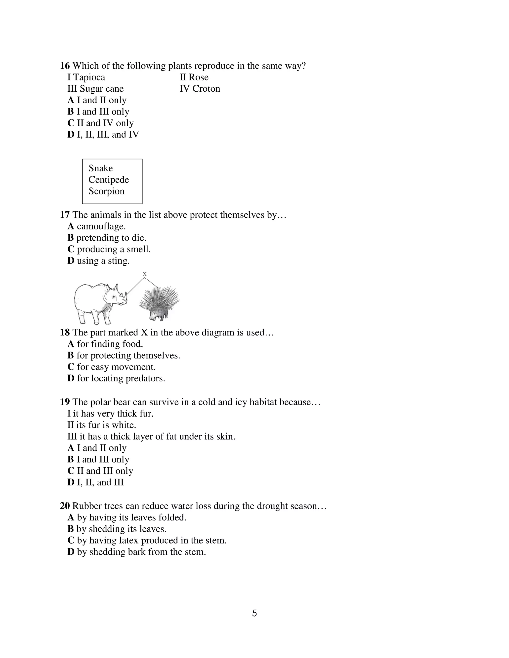 Sceince year-4-mid-term-exam | PDF