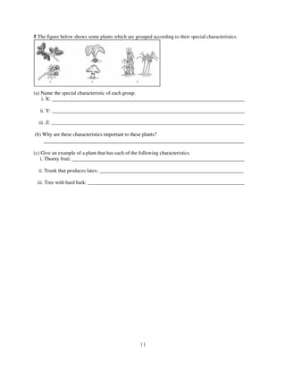 Sceince year-4-mid-term-exam | PDF