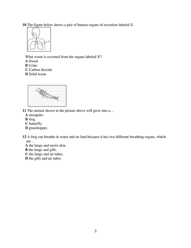 Sceince year-4-mid-term-exam | PDF