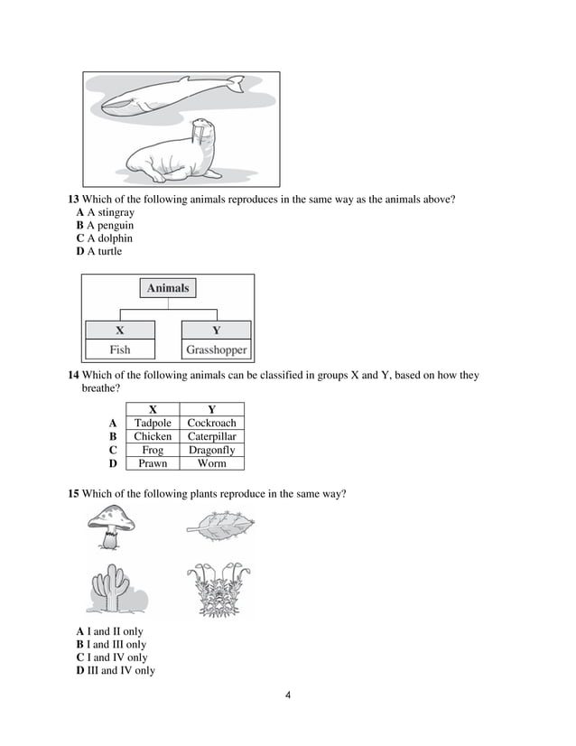 Sceince year-4-mid-term-exam | PDF