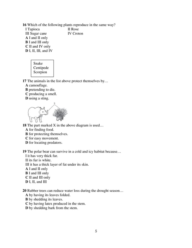 Sceince year-4-mid-term-exam | PDF