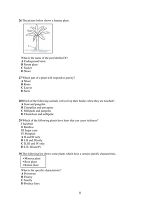 Sceince year-4-mid-term-exam | PDF