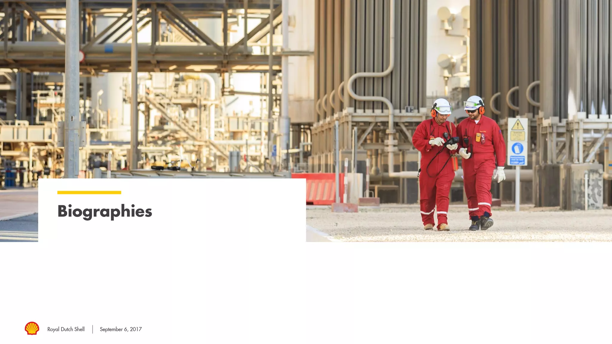 Shell scenarios, modelling and decision-making | PDF